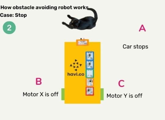 Guide to make an Obstacle avoiding robot | Havi.co